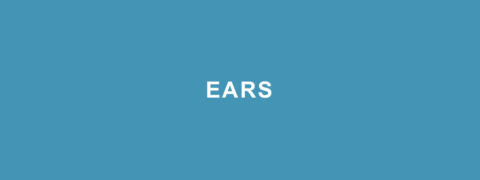 EARS - Easy Approach to Requirements Syntax: a practical way